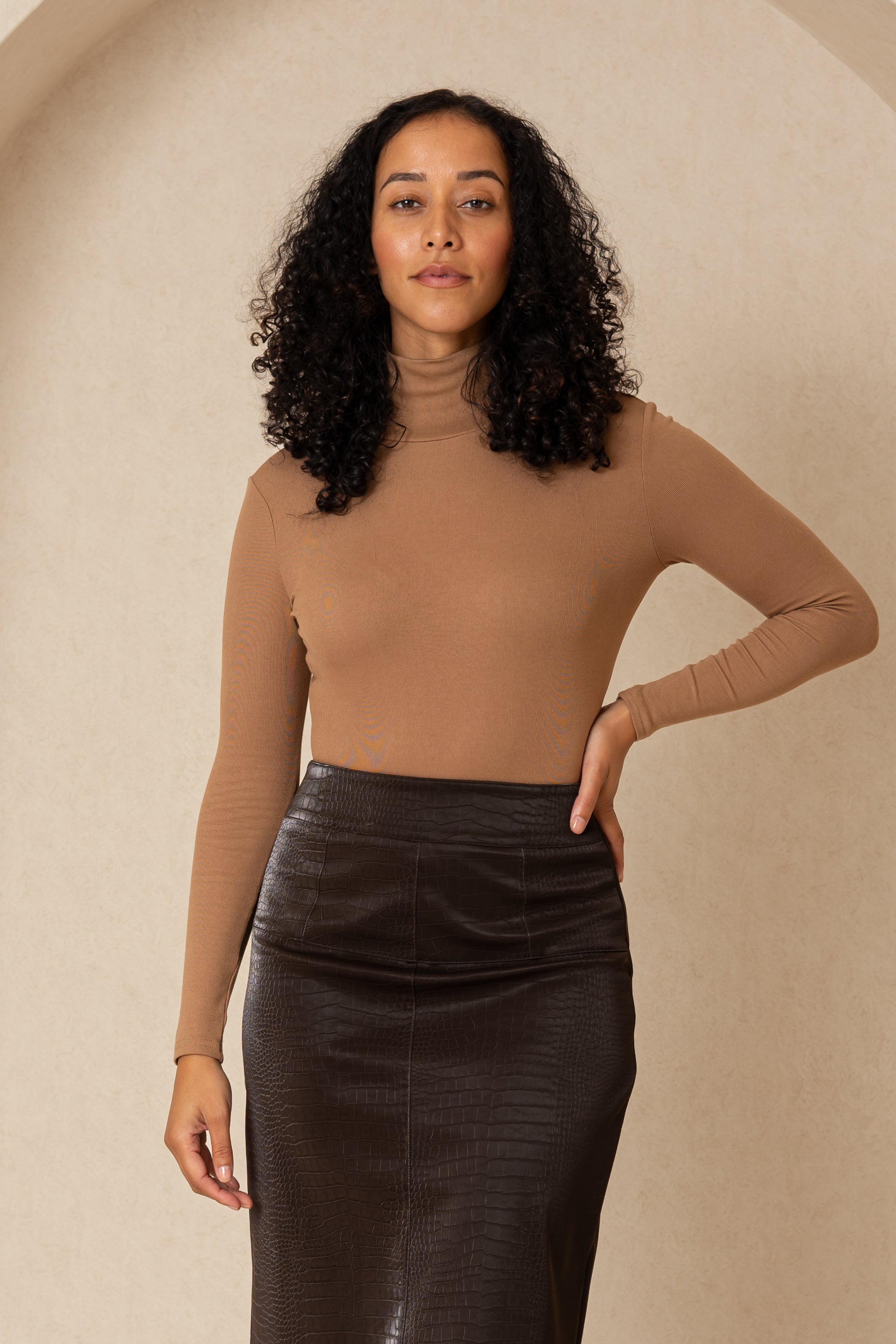 Mocha Solid Turtleneck – BLANK
